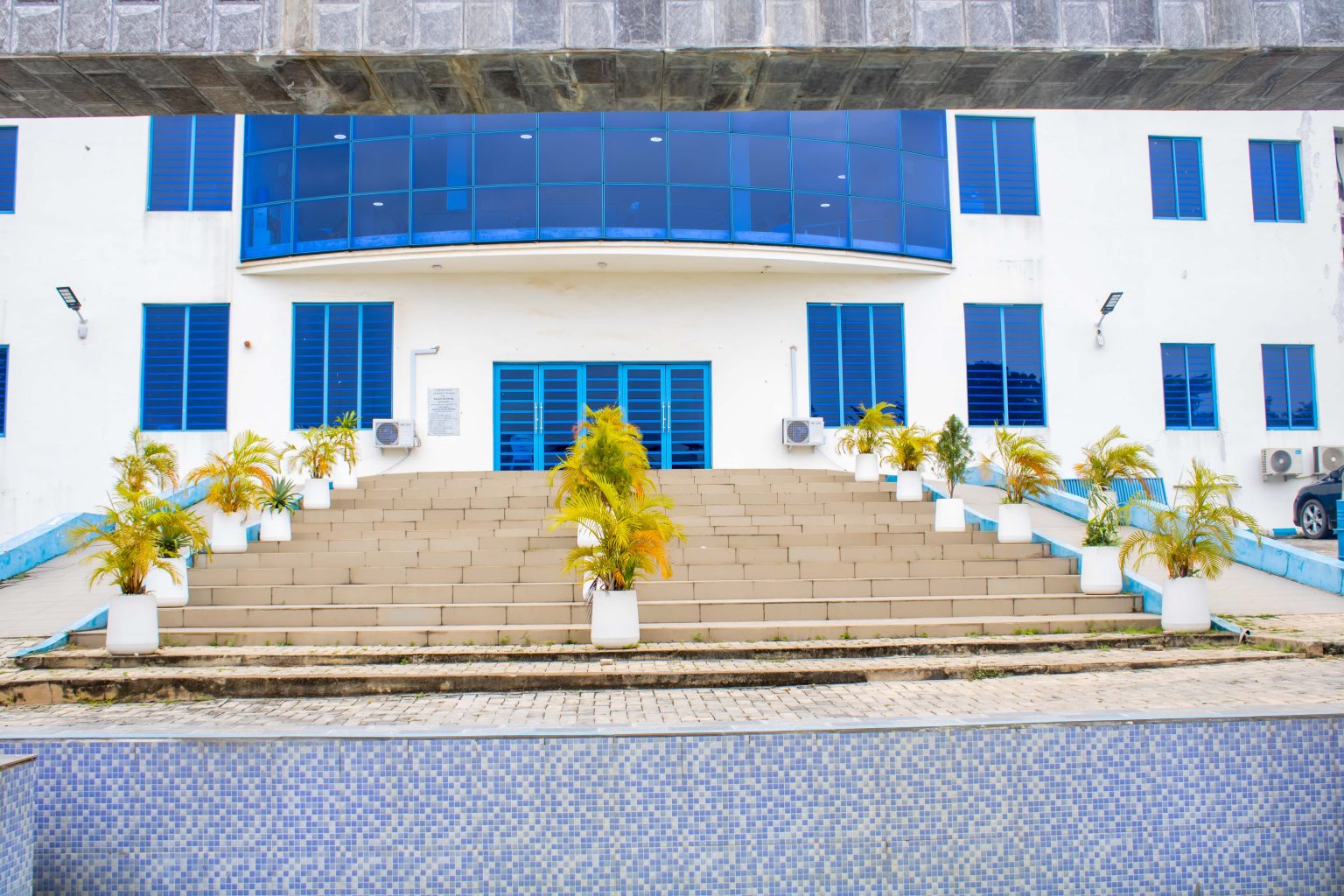 Lead City University to celebrate Falola as Father of African Ancestral ...